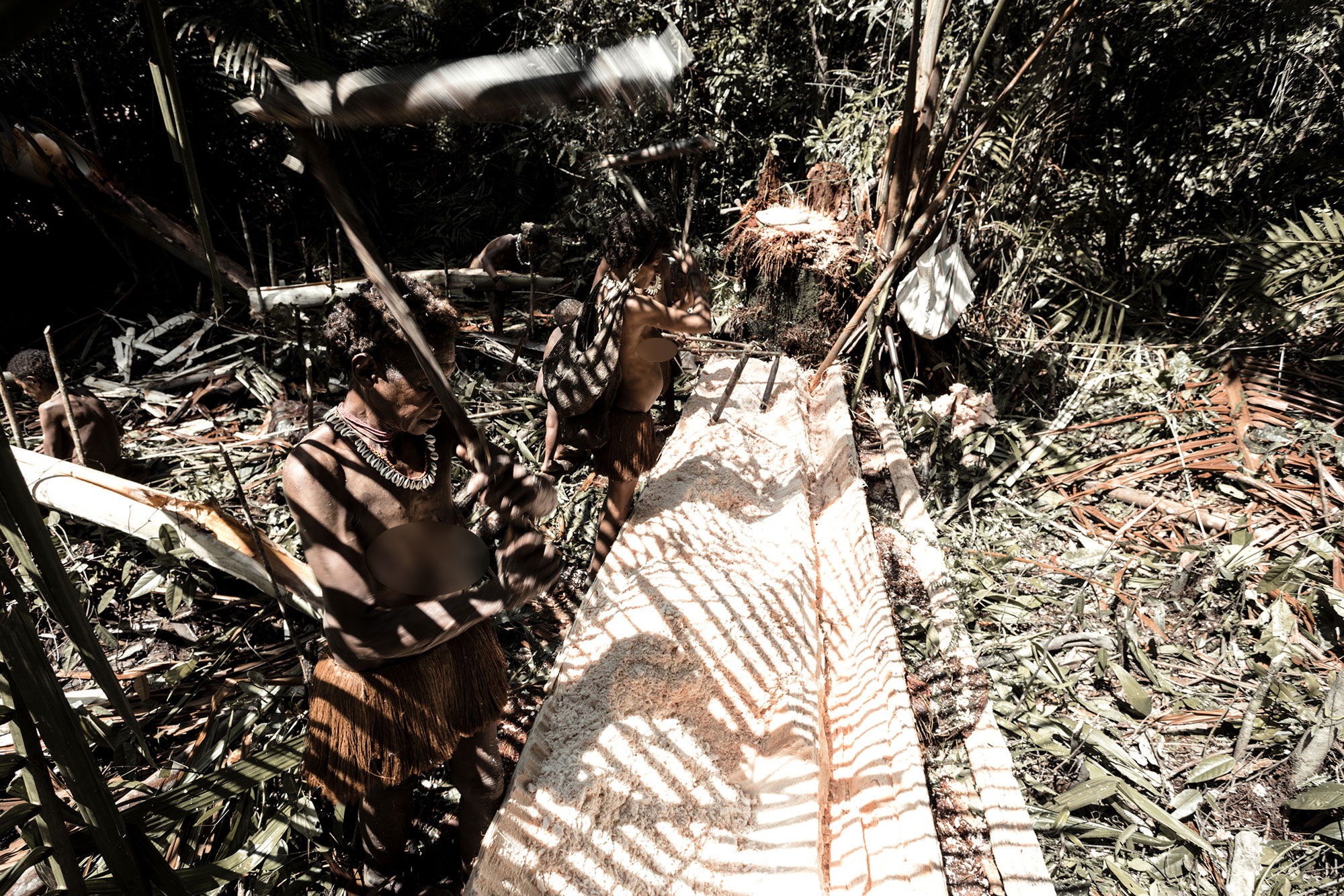 The Korowai tribe of Papua