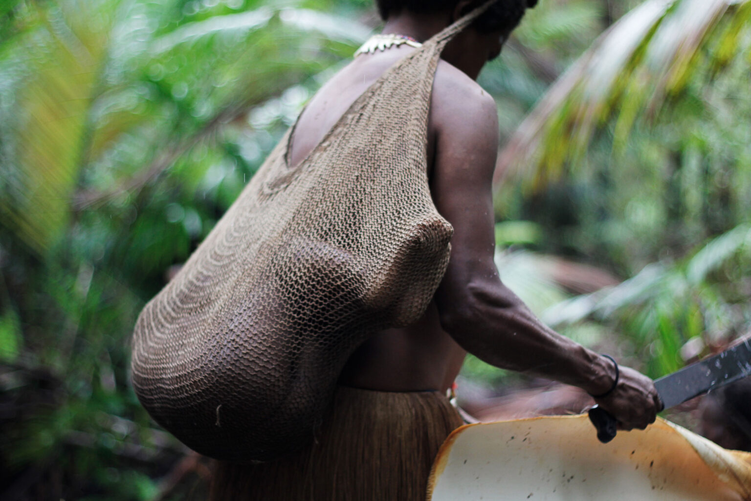 The Korowai tribe of Papua