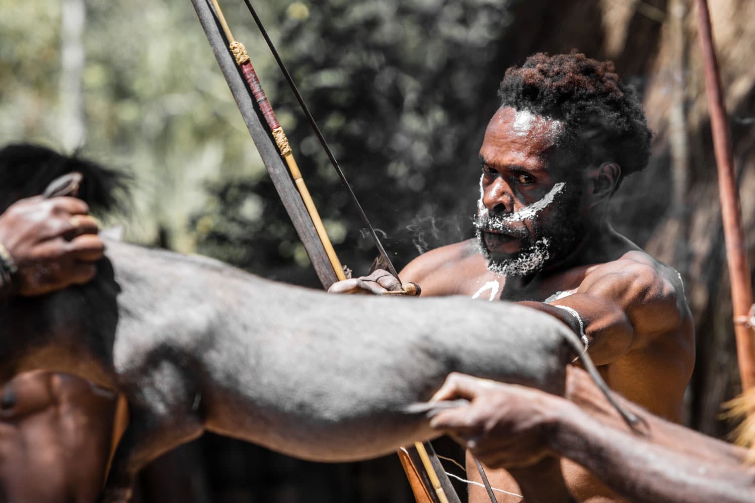 What to expect from a trip to the Baliem Valley - The Papua Blog